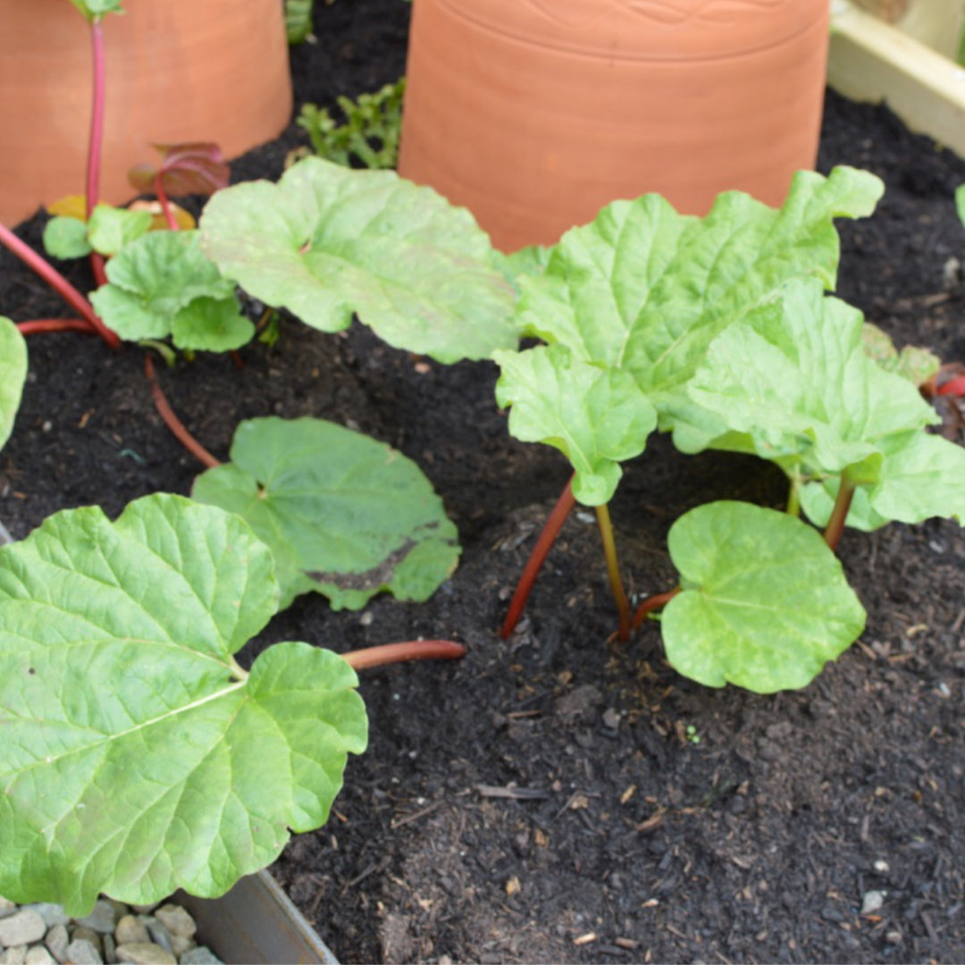 Bulk Bag Compost and Mixes - New Leaf Compost